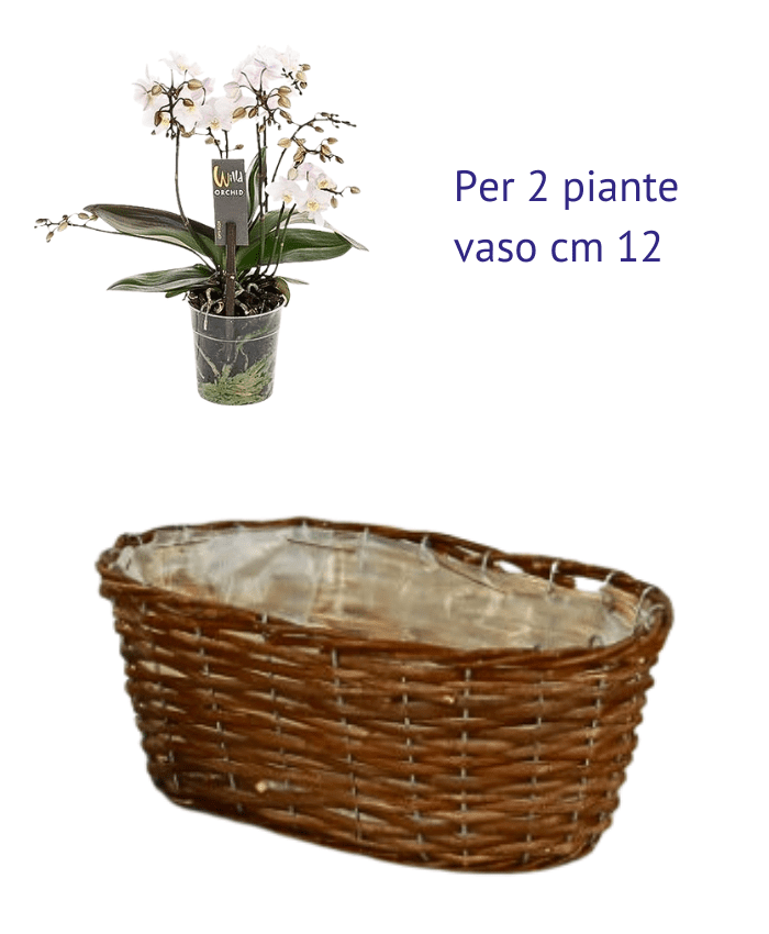 Cesto in vimini grazzo forma ovale per 2 piante 12 cm | C & R